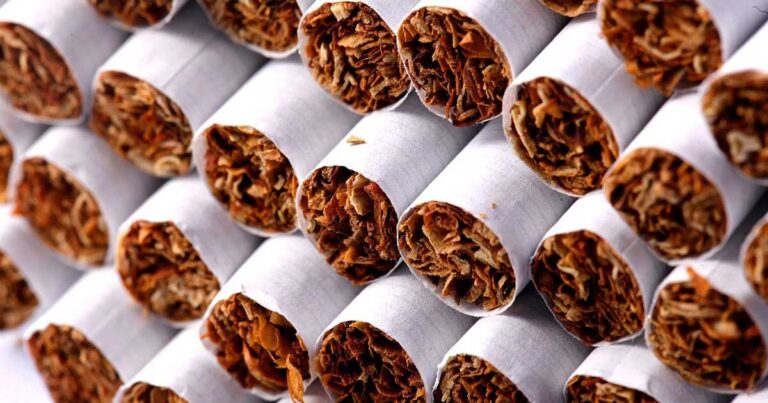 Understanding the Difference: Native Tobacco vs. Commercial Tobacco ...
